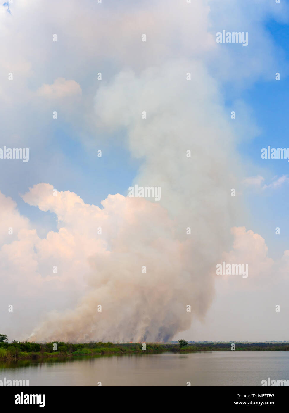 Smoke Stack Floating in The Air with Fire Burning near The Swamp Stock ...