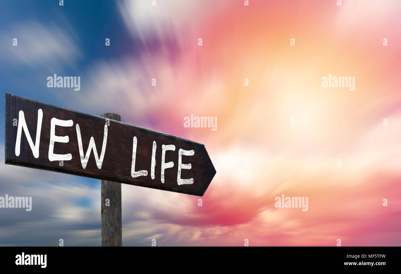 New life motivational phrase on wooden sign against colorful sunny sky ...