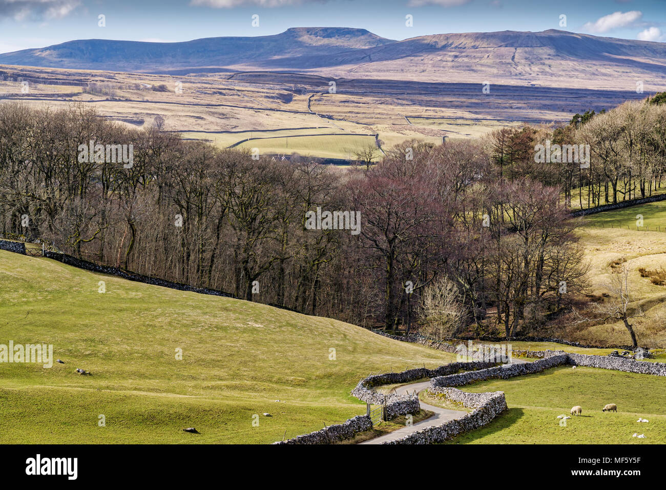 Typical Yorkshire Dales scenery with rolling hills and a country Stock ...