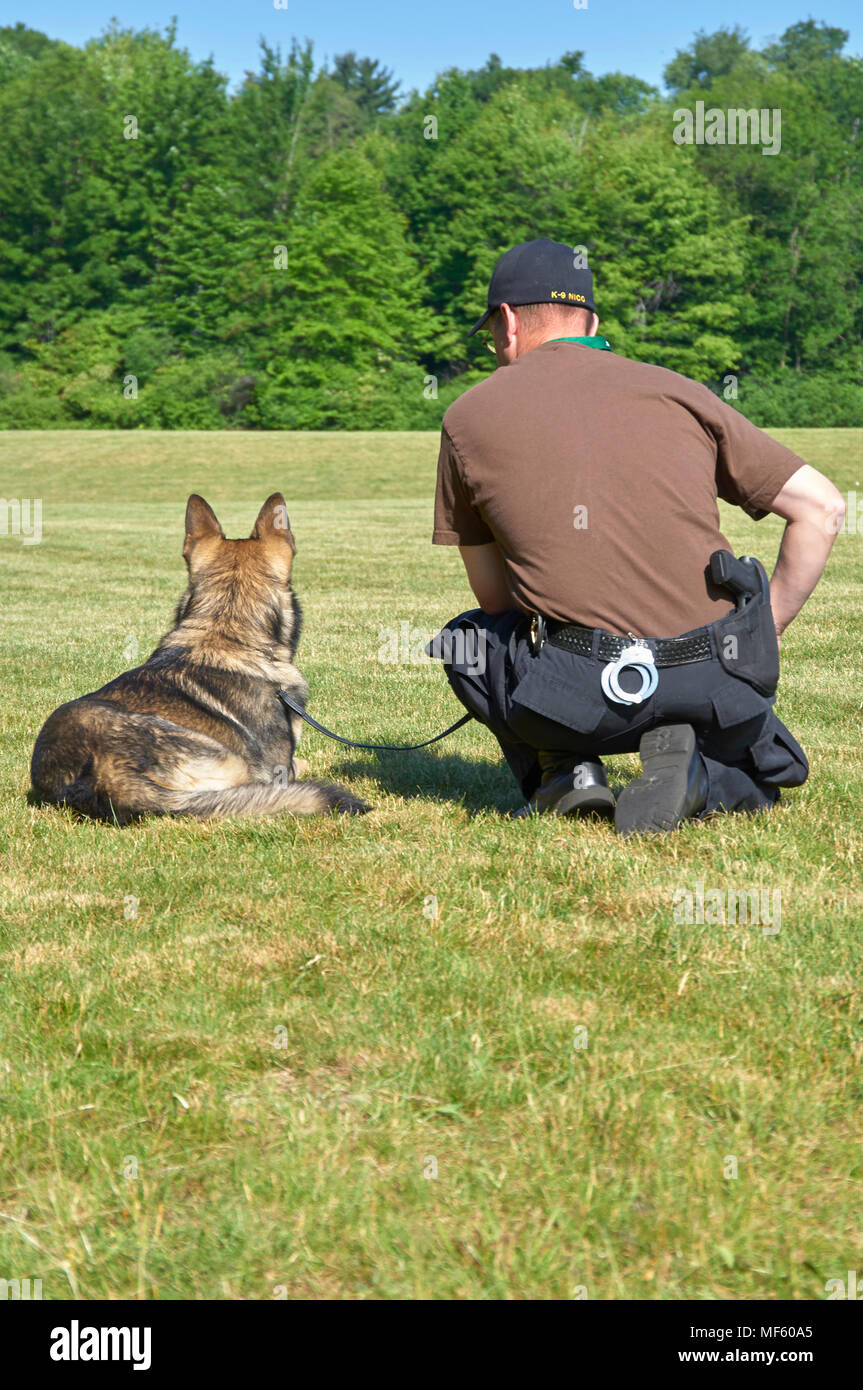 Police K9 Instruction and Workshop. Training of dogs and officers Stock ...