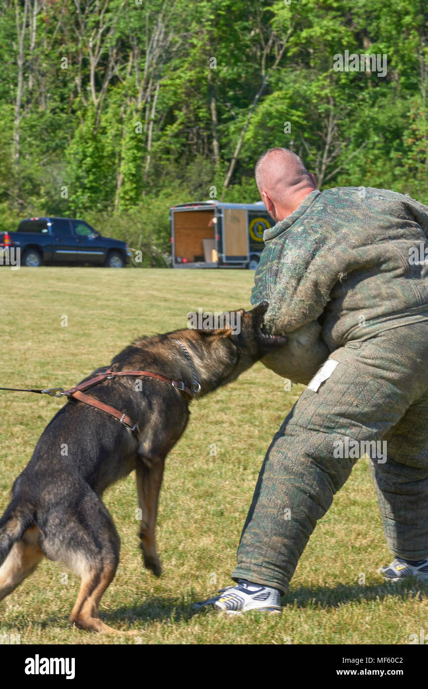 Police K9 High Resolution Stock Photography and Images - Alamy