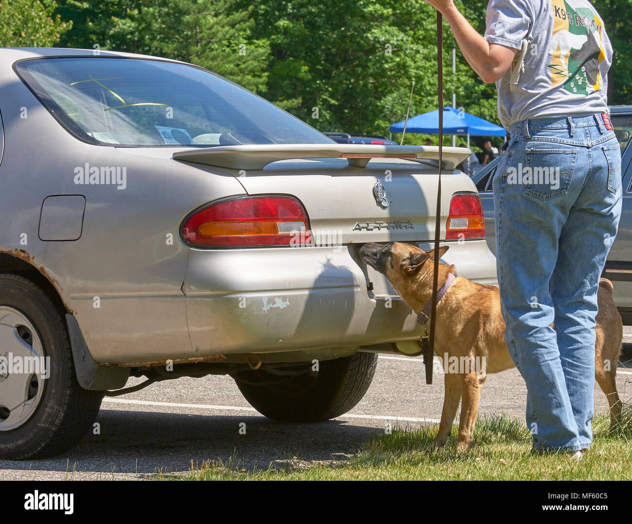 Police K9 Instruction and Workshop. Training of dogs and officers Stock ...