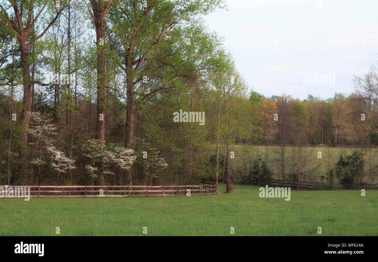 Pasture and wooden fence hi-res stock photography and images - Alamy