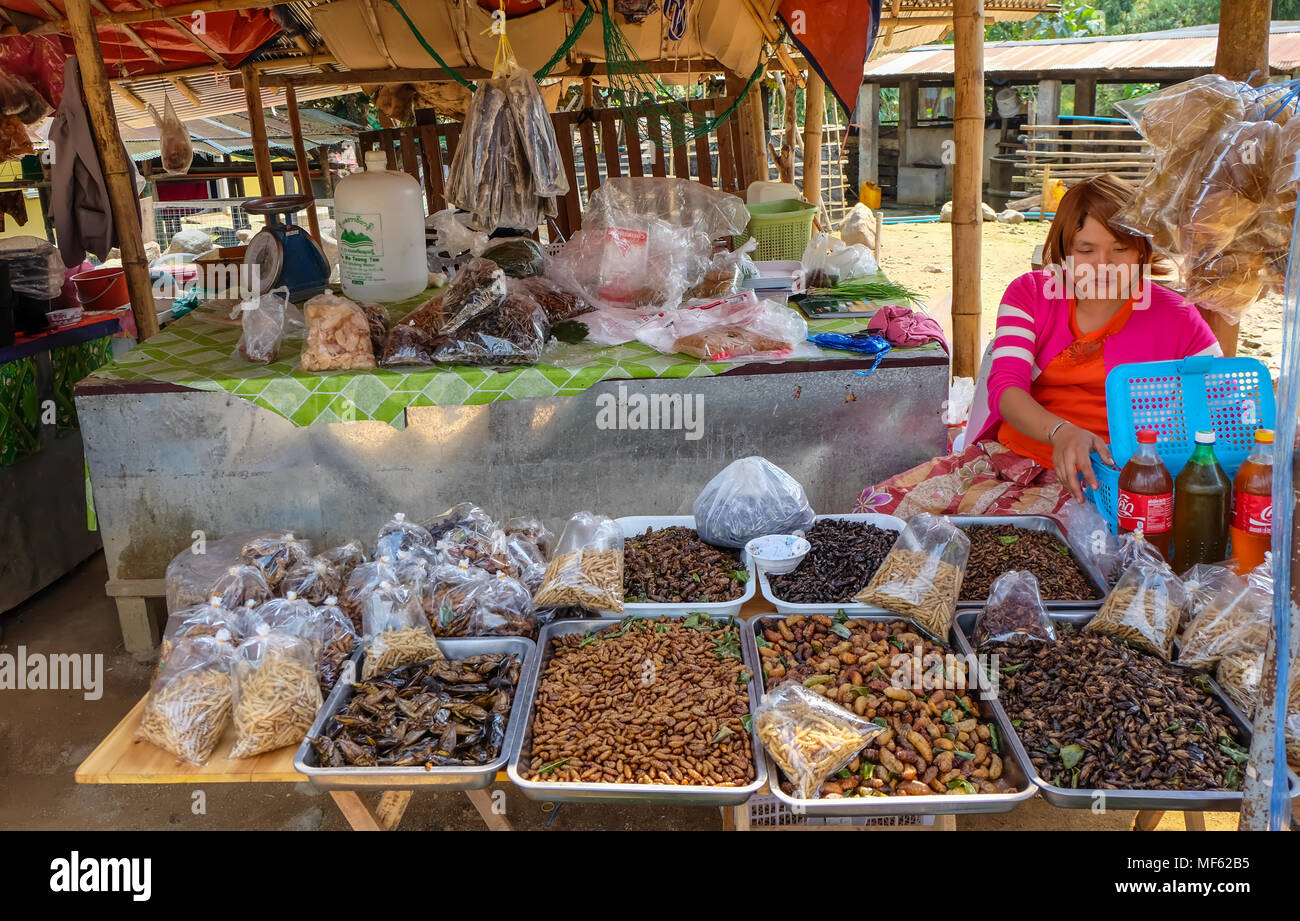 April 3 2017 - Kyaing Tong, Myanmar. Vendor selling fried insects and ...