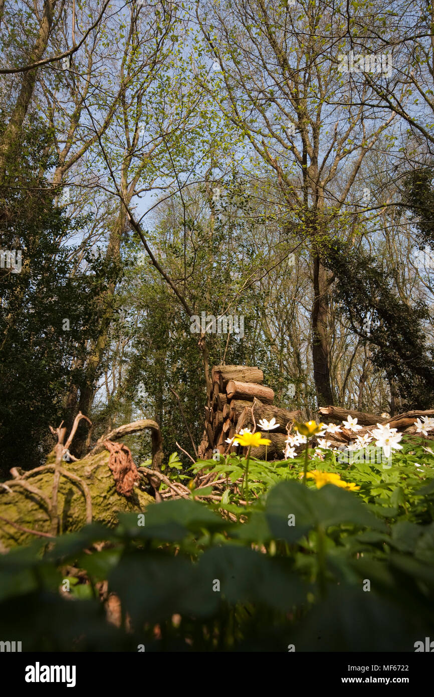 Mutford hi-res stock photography and images - Alamy