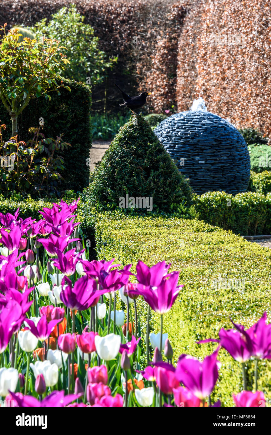 Tulip maze at arundel castle gardens hi-res stock photography and ...