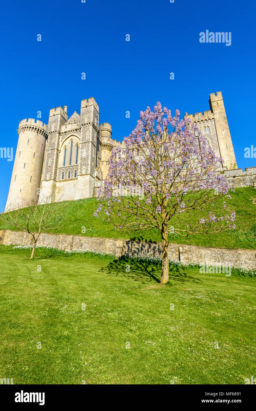 Arundel hi-res stock photography and images - Alamy