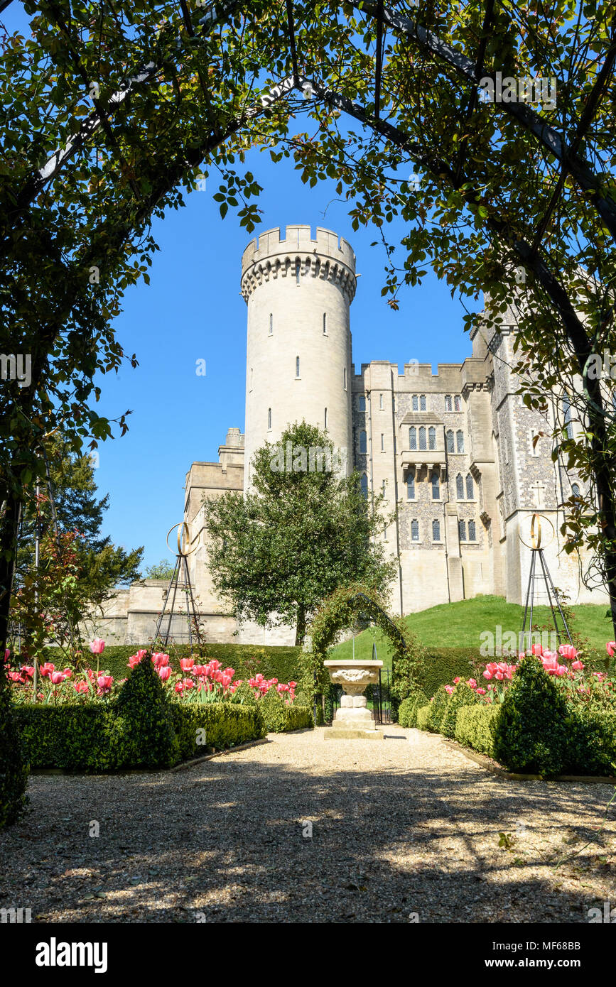 Box hedging and roses hi-res stock photography and images - Alamy