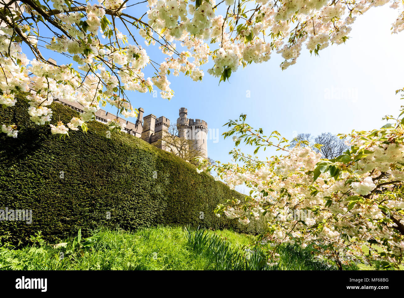 Arundel castle and gardens hi-res stock photography and images - Alamy