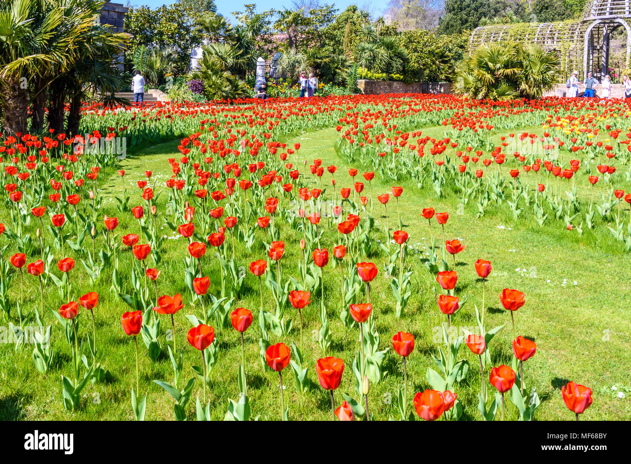Tulip maze at arundel castle gardens hi-res stock photography and ...