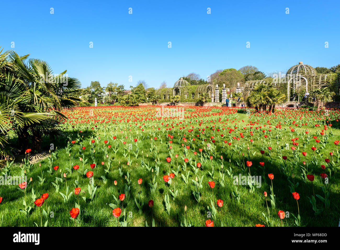 Tulip maze at arundel castle gardens hi-res stock photography and ...
