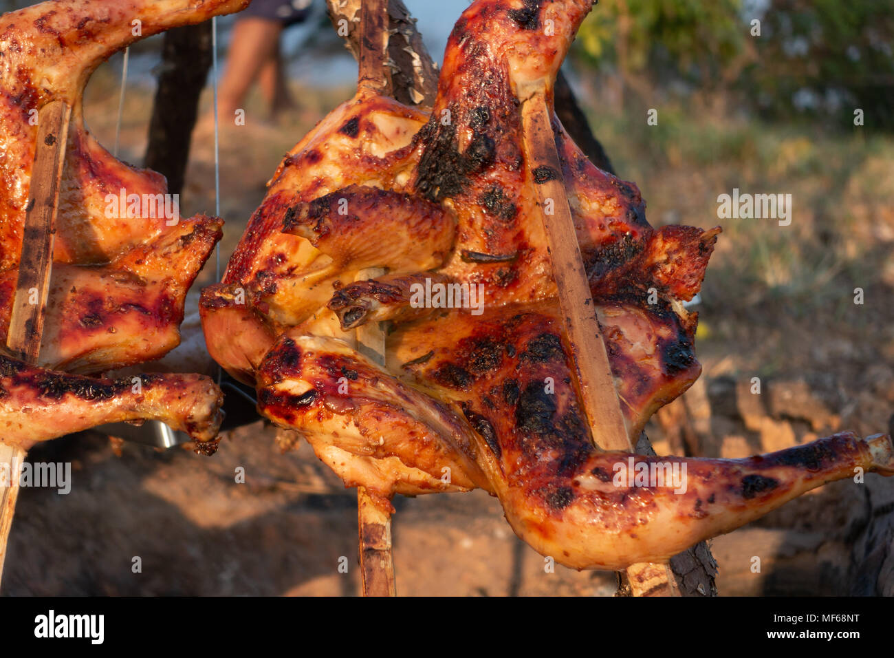 Barbecue chicken. Royalty high quality free stock image of bbq chicken ...