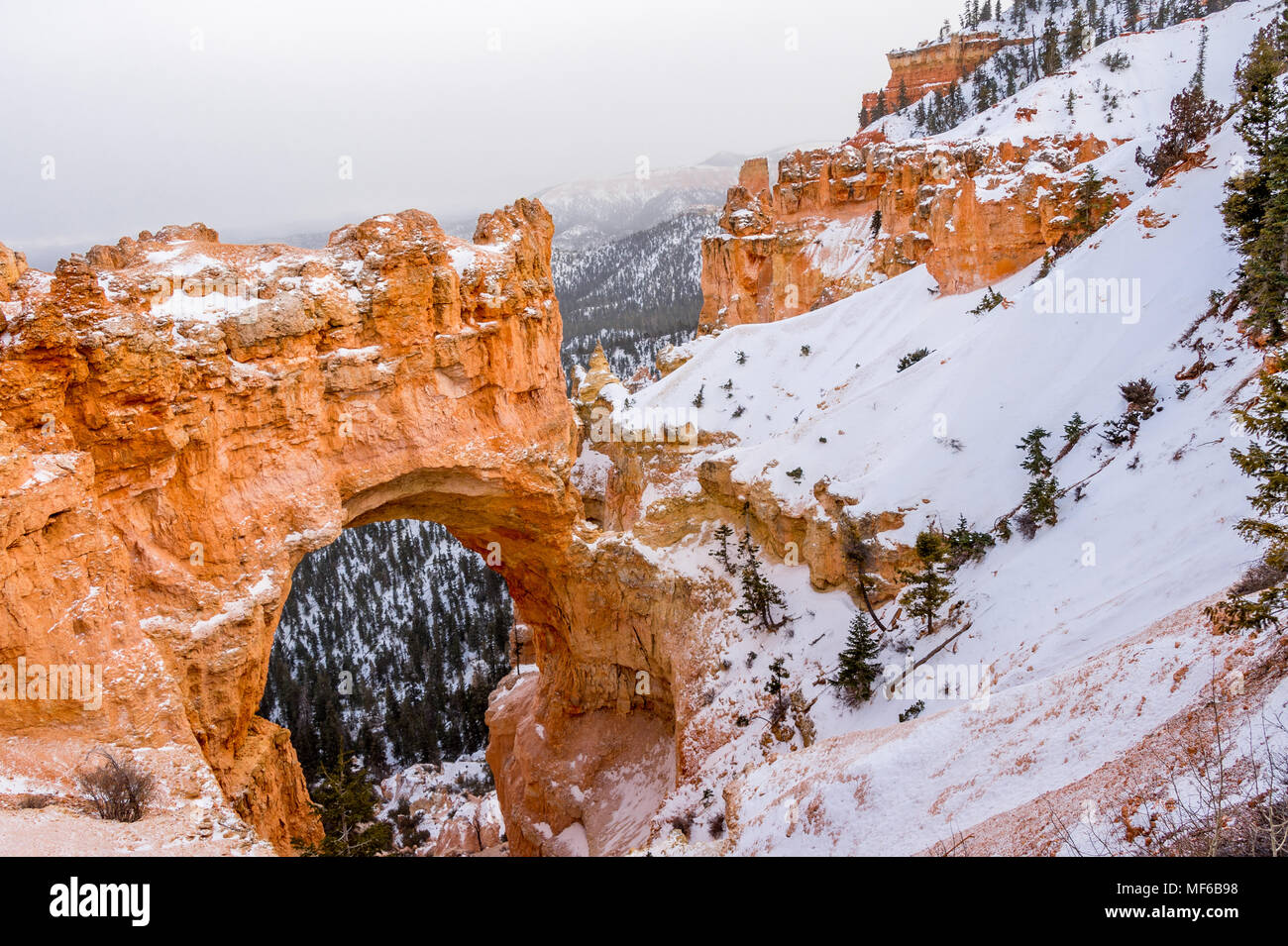 Natural Bridge. Erosion of sedimentary rocks has created natural arches ...