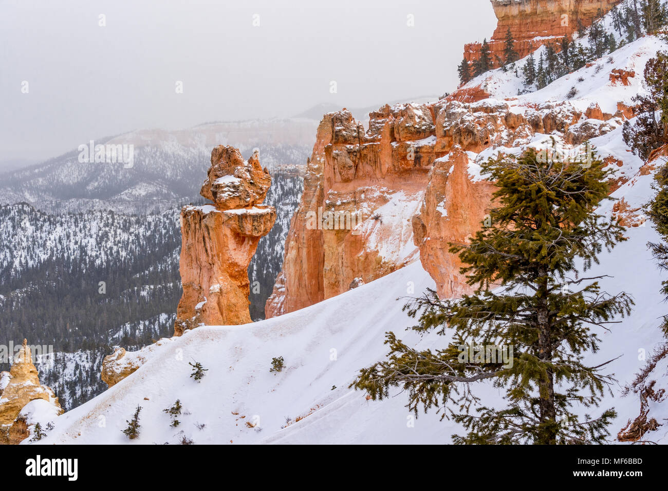 Natural Bridge. Erosion of sedimentary rocks has created natural arches ...