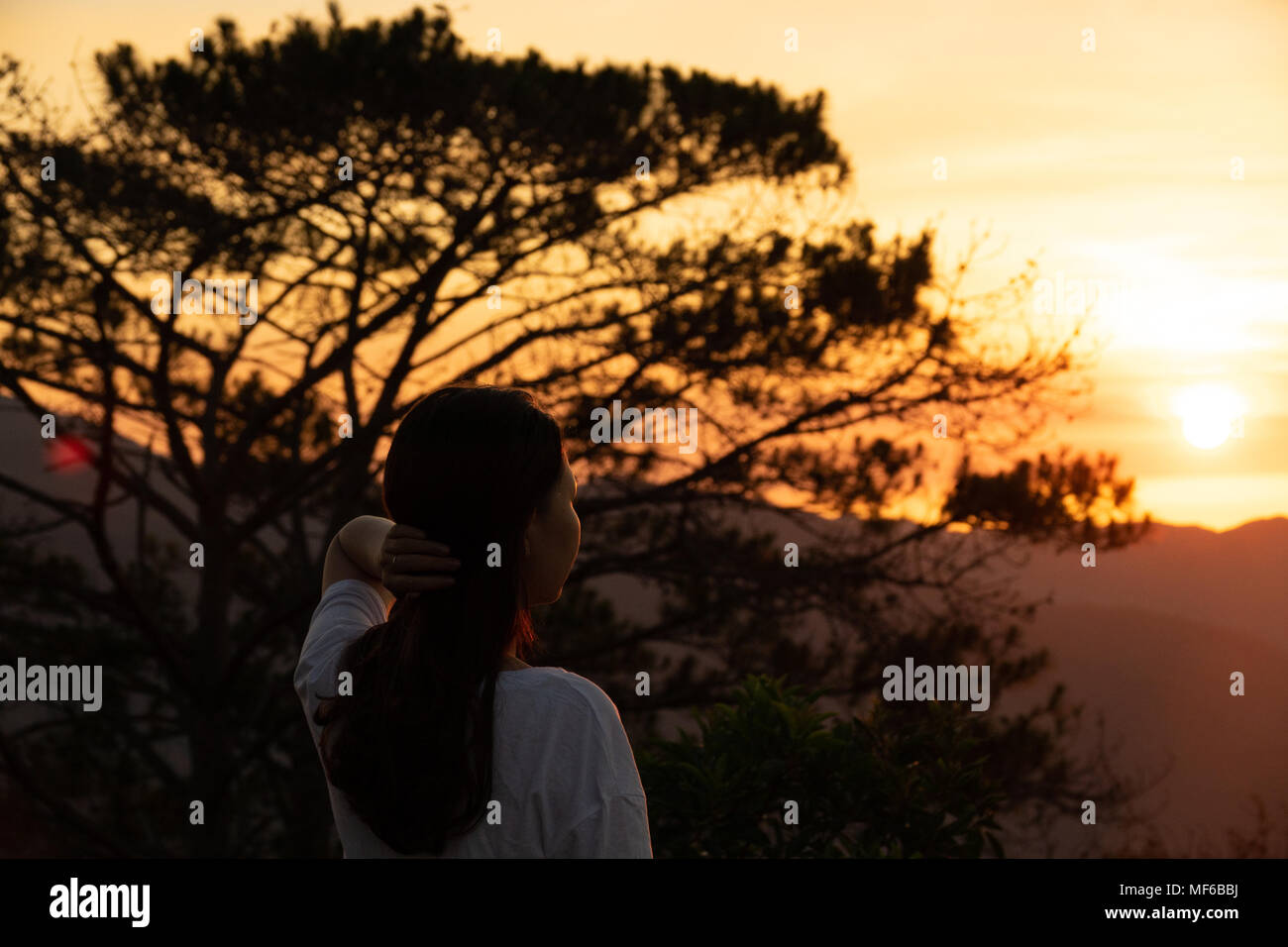 Alone Fog One Single High Resolution Stock Photography and Images - Alamy