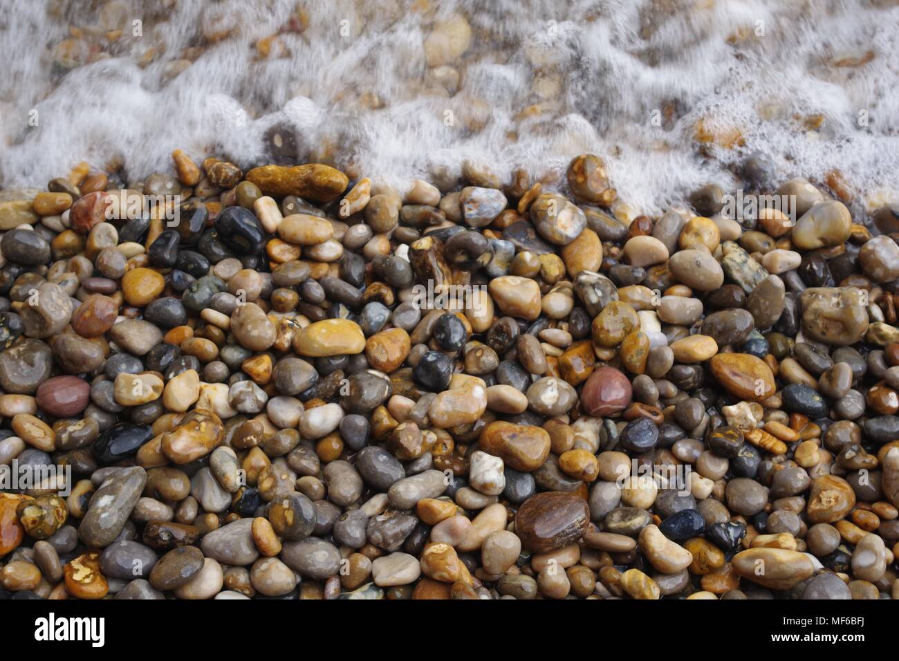 Natural Background of Wet Rounded Quartzite Beach Pebbles. Ladram Bay ...