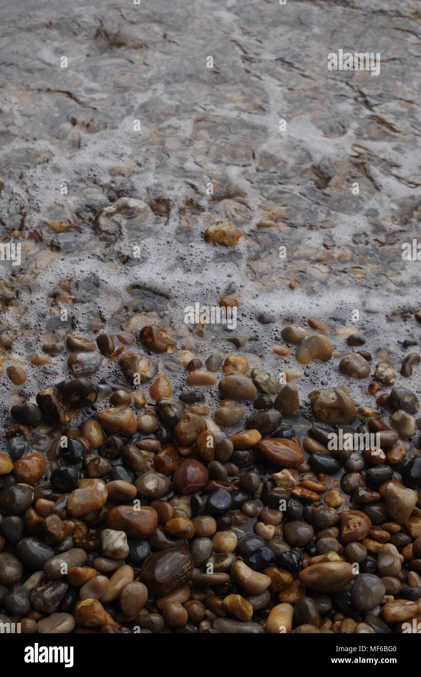Natural Background of Wet Rounded Quartzite Beach Pebbles. Ladram Bay ...