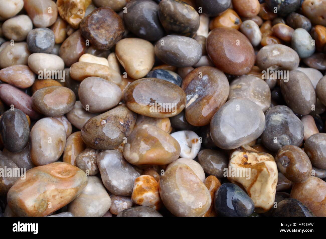 Natural Background of Wet Rounded Quartzite Beach Pebbles. Ladram Bay ...