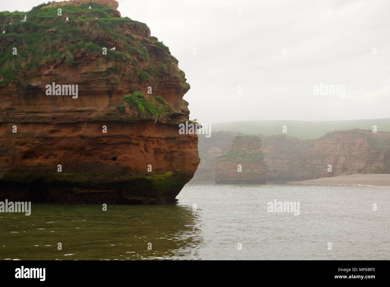 Red Otter Sandstone Sea Stacks Shrouded in Sea Mist. Geology of the ...
