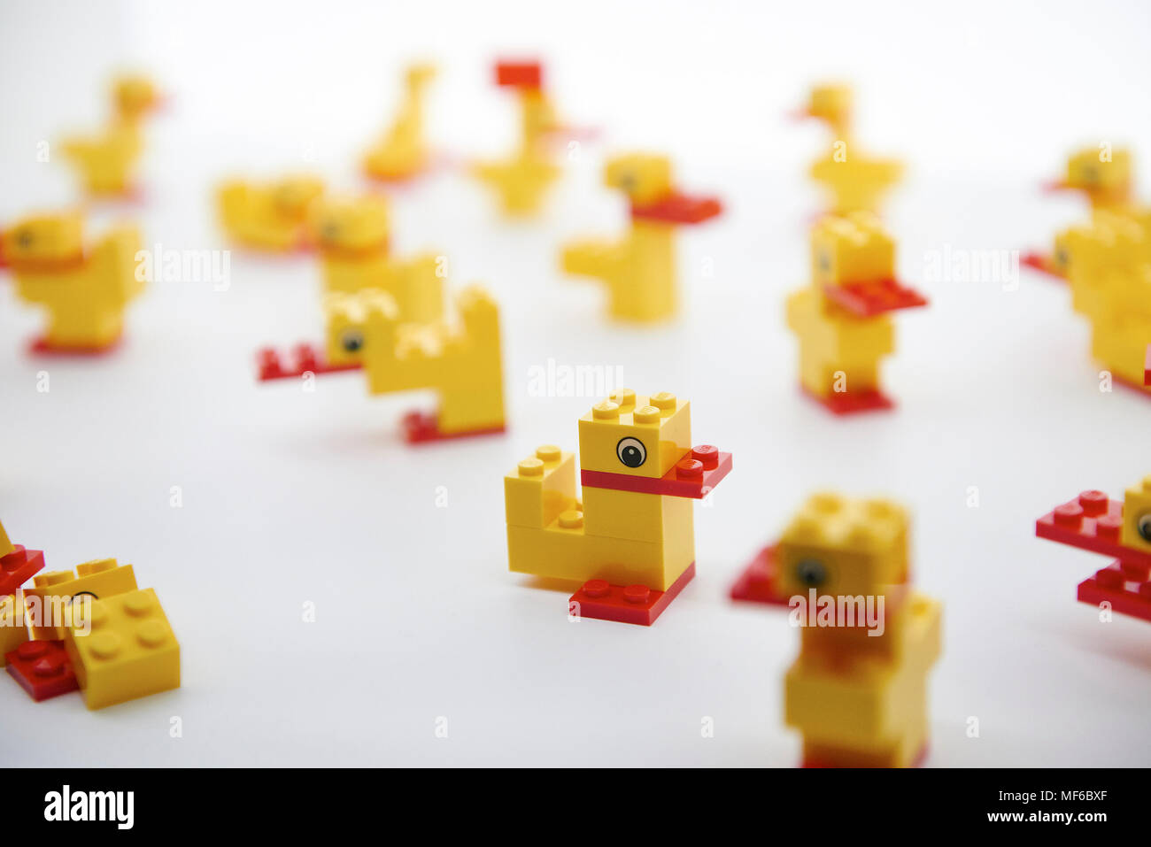 Lego Ducks Stock Photo - Alamy