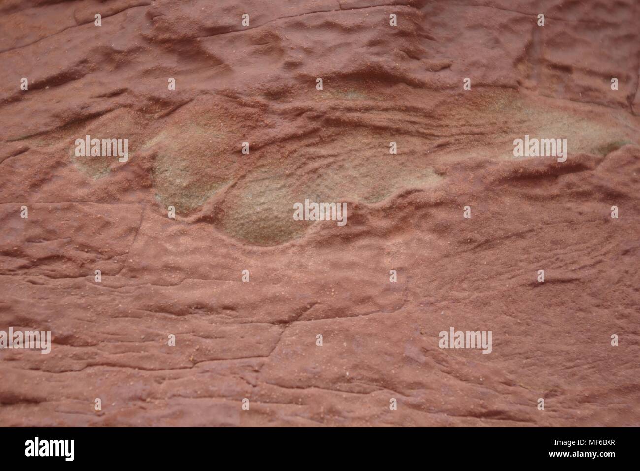 Sedimentary Structure. Red Otter Sandstone Geology of the Jurassic ...