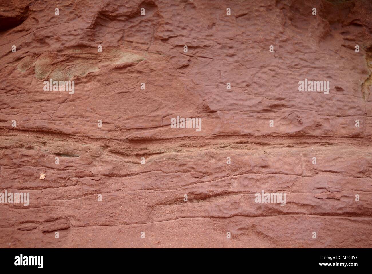 Red Otter Sandstone Geology of the Jurassic Coast. Ladram Bay Holiday ...