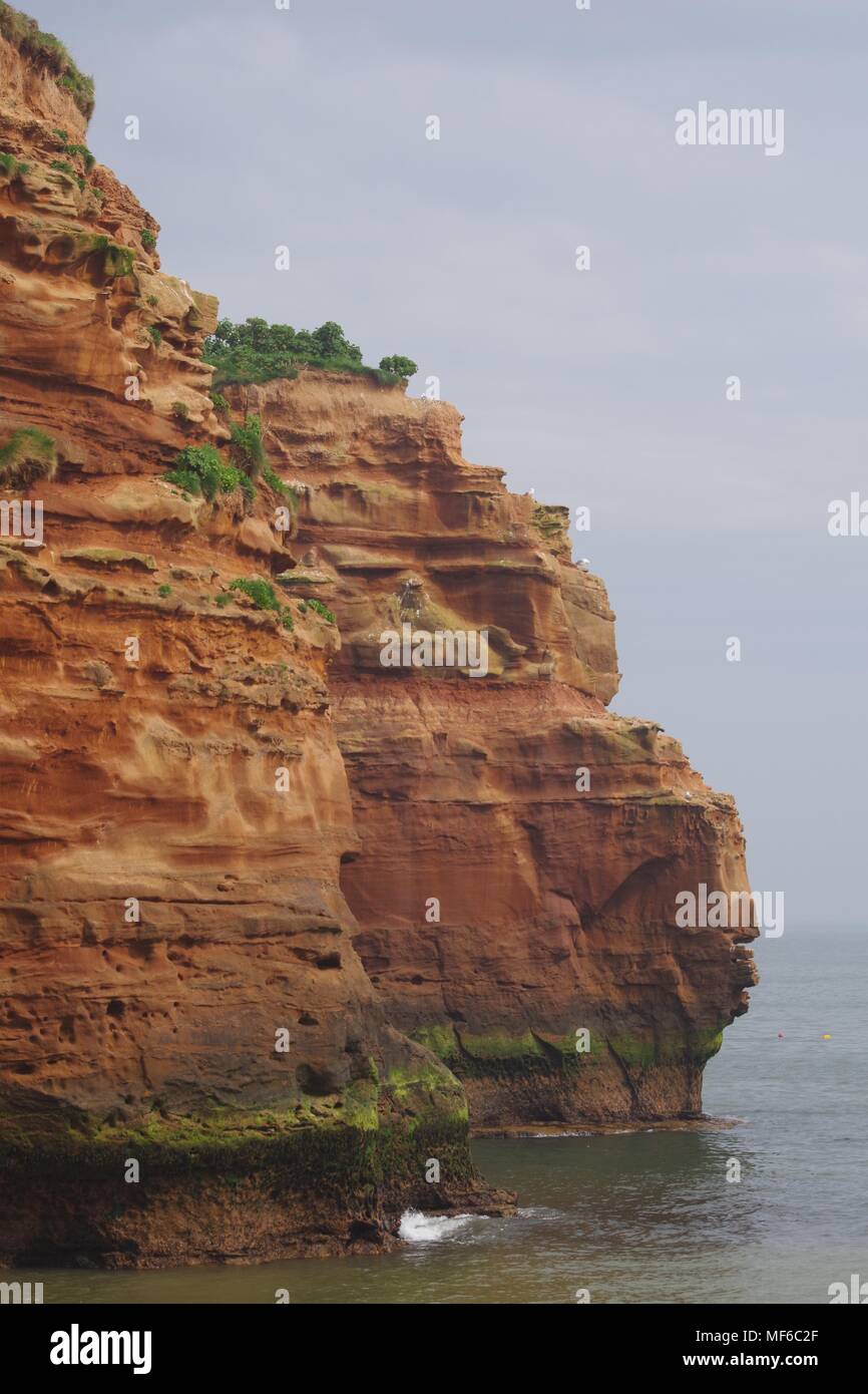 Red Otter Sandstone Sea Stack. Geology of the Jurassic Coast. Ladram ...