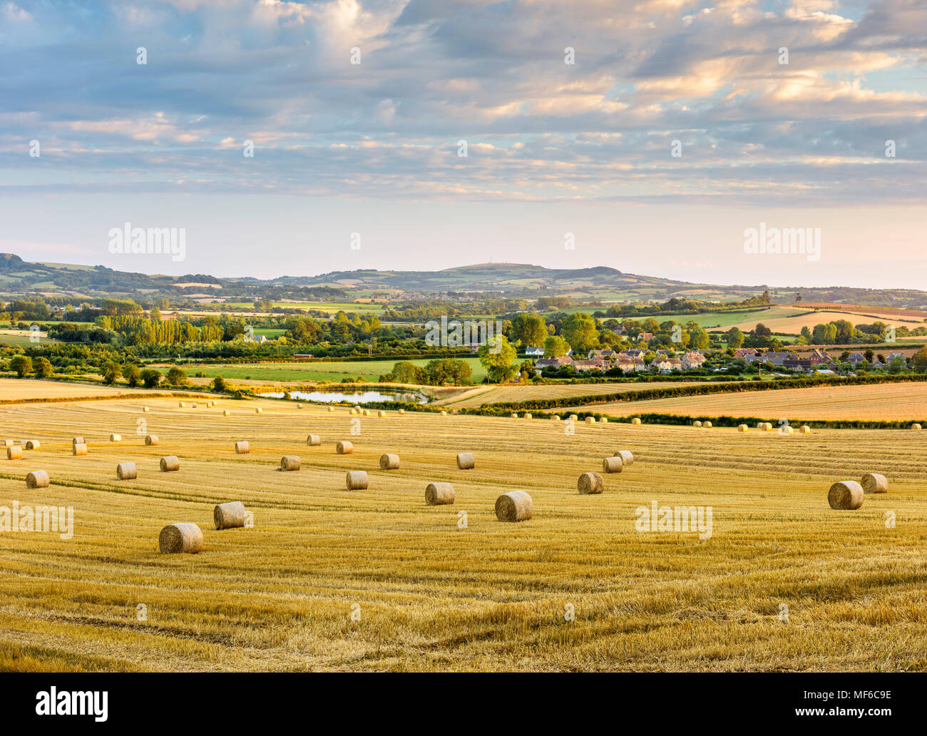 Hay and straw hi-res stock photography and images - Alamy