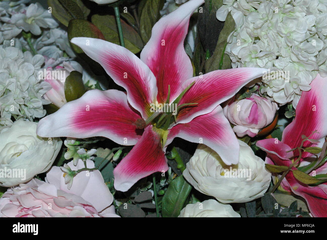Detailed flower hi-res stock photography and images - Alamy