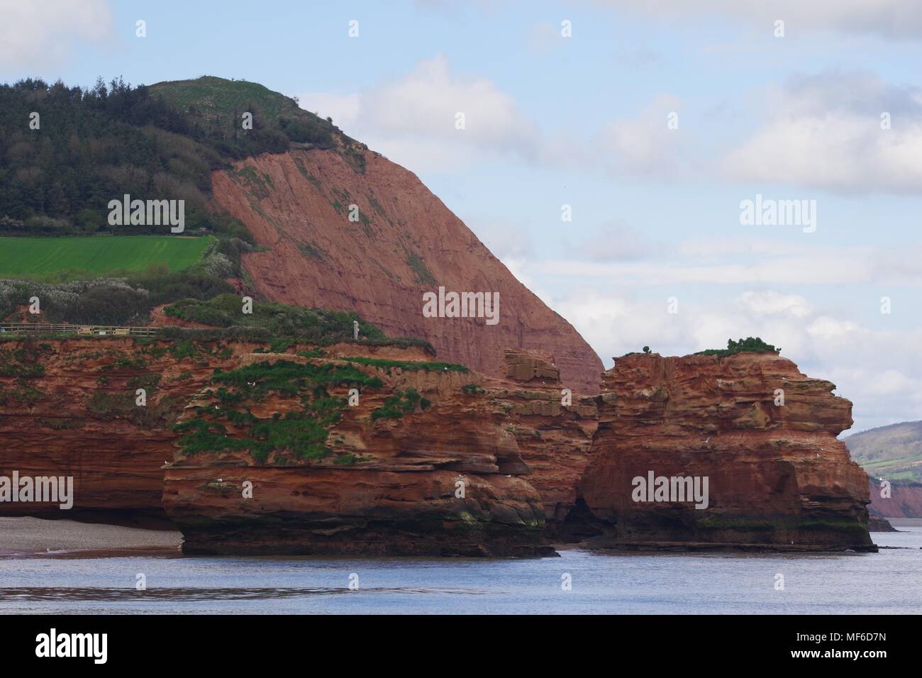 Red Otter Sandstone of High Peak Hill and Sea Stacks.Geology of the ...