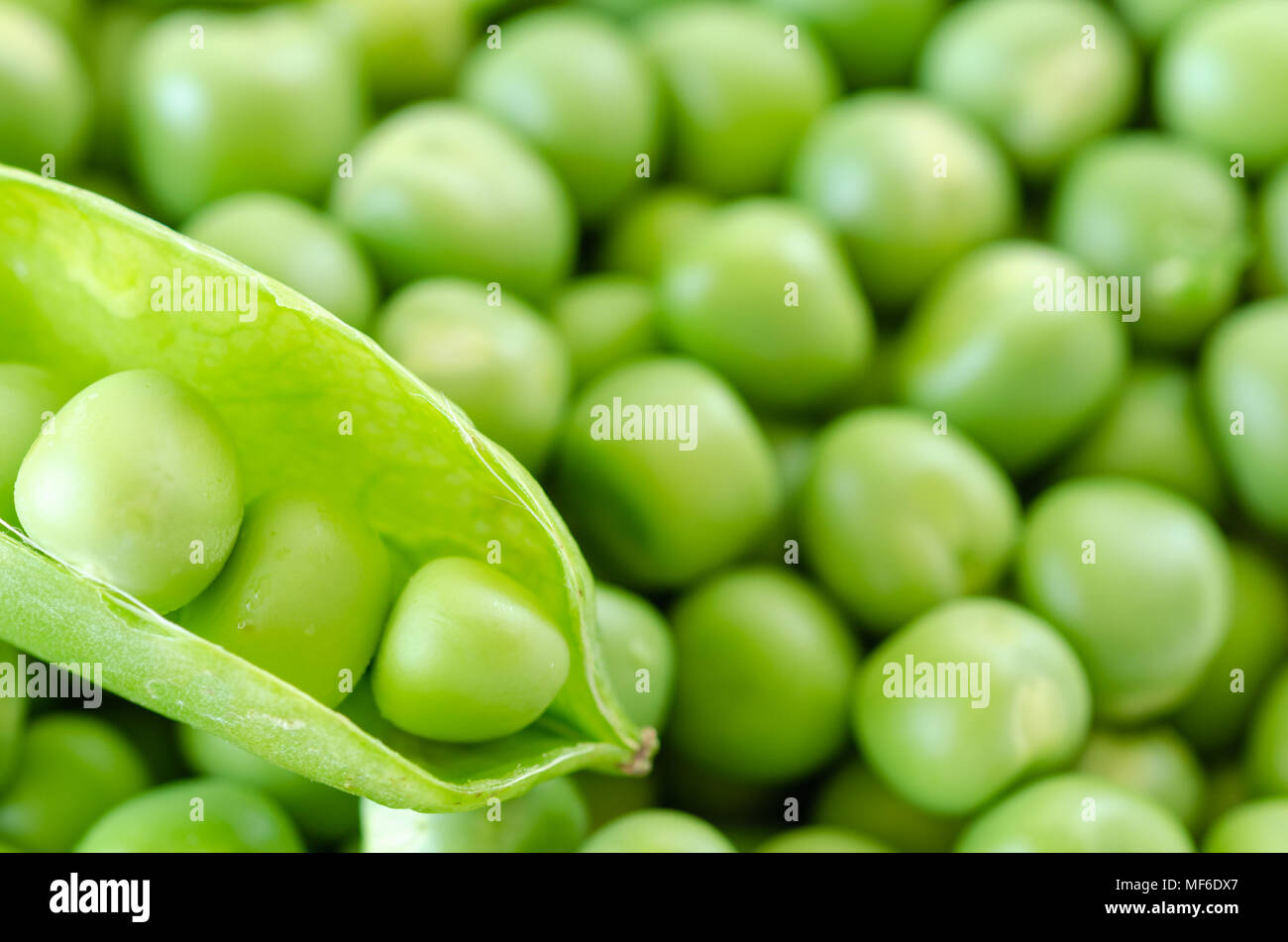 Fresh peas texture background. Green peas background pattern Stock ...