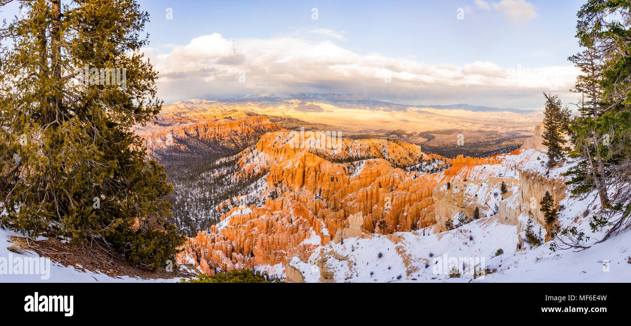 Bryce canyon red rocks winter pine hi-res stock photography and images ...