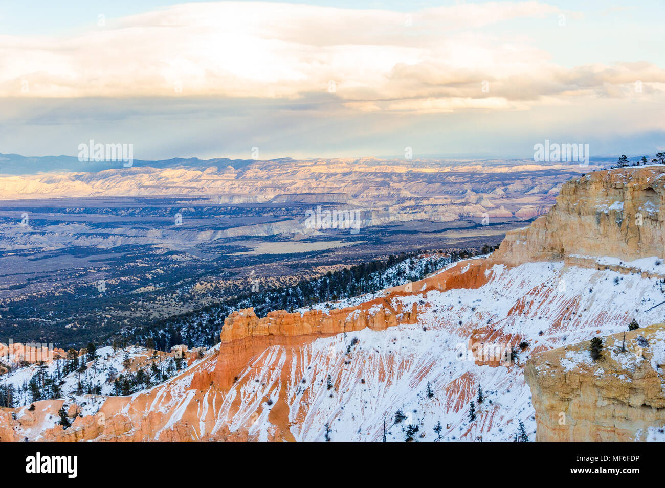 Bryce canyon red rocks winter pine hi-res stock photography and images ...
