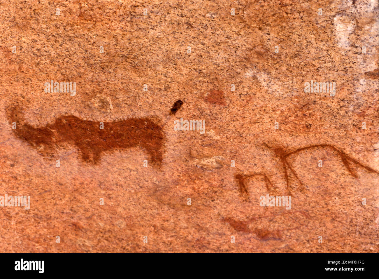 San paintings namibia hi-res stock photography and images - Alamy