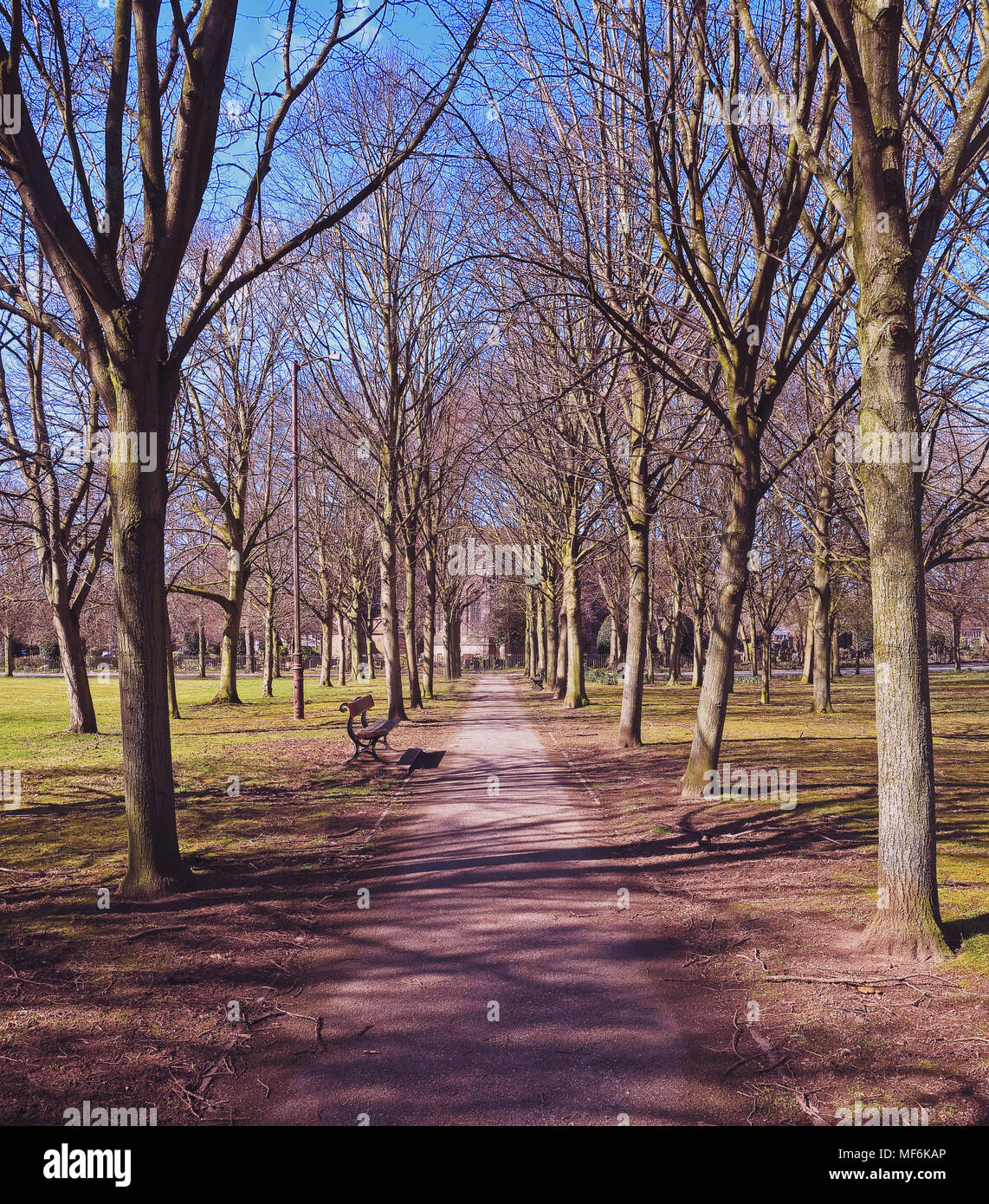 A tree-lined path at Port Sunlight Stock Photo - Alamy