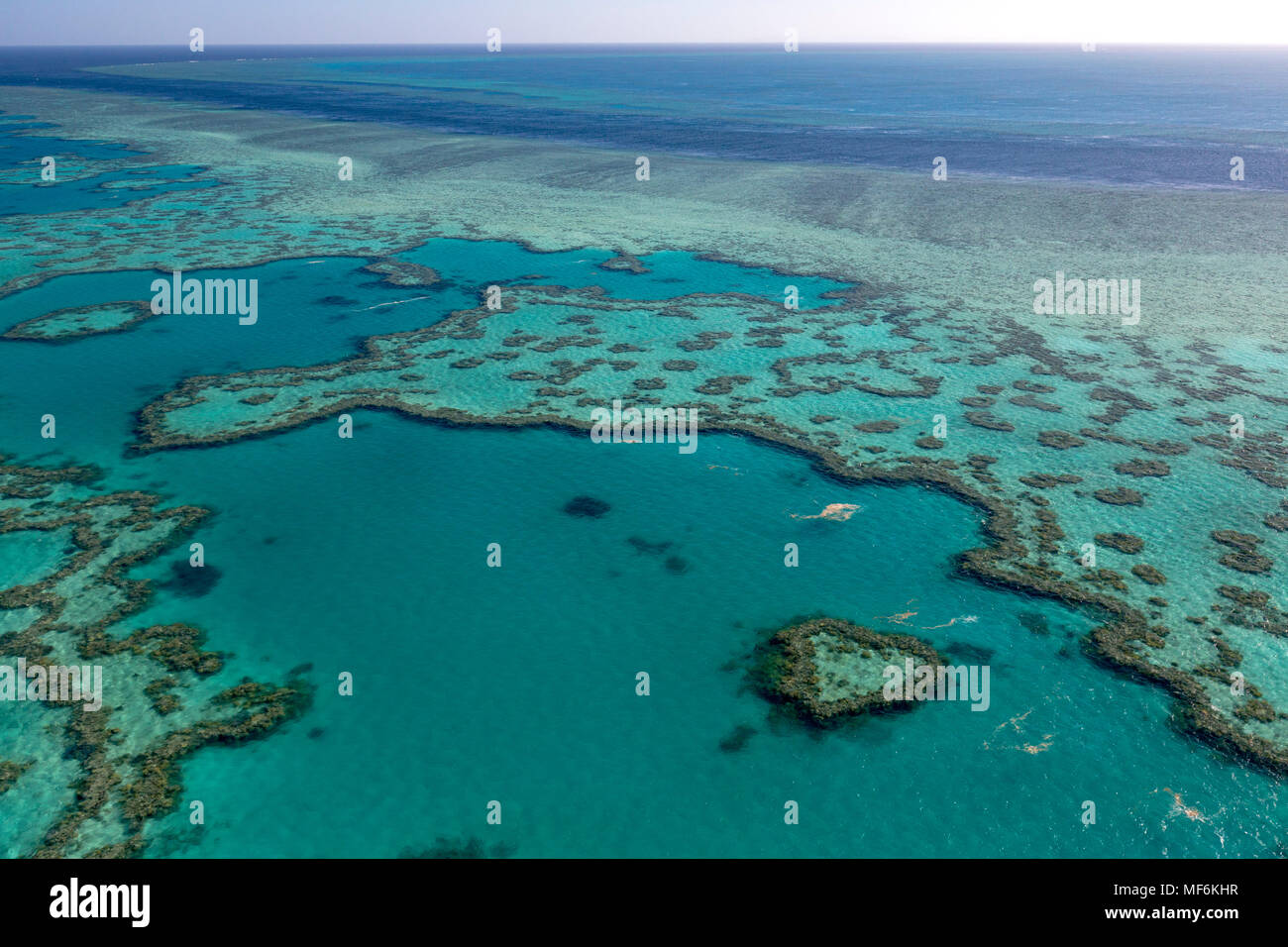 Coral Reef, Heart Reef, part of Hardy Reef, Outer Great Barrier Reef ...