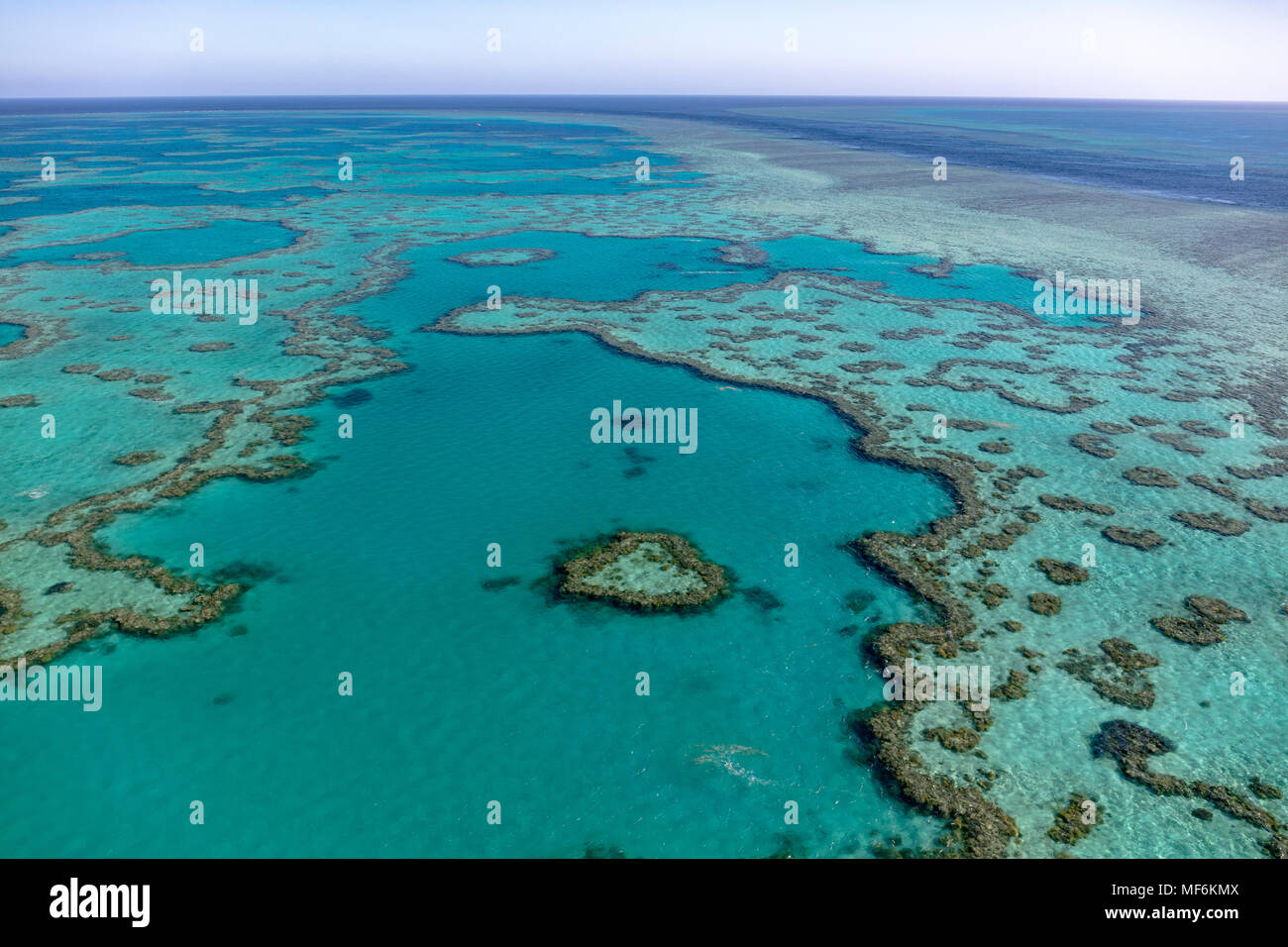 Coral Reef, Heart Reef, part of Hardy Reef, Outer Great Barrier Reef ...