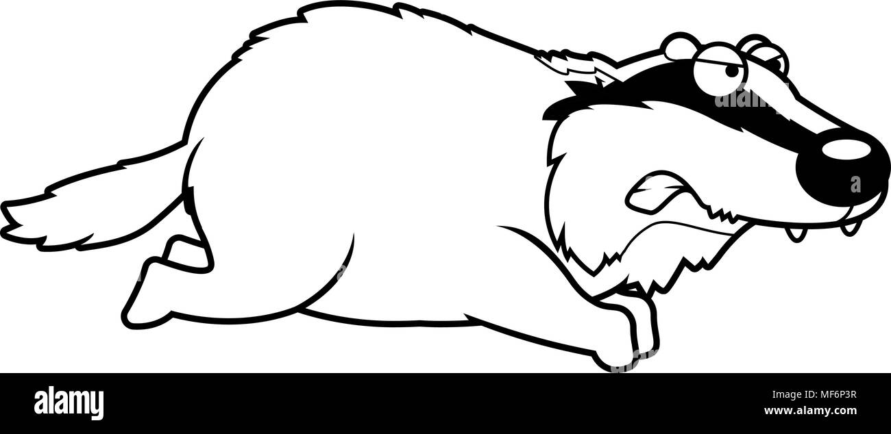 A cartoon illustration of a badger angry and running Stock Vector Image ...
