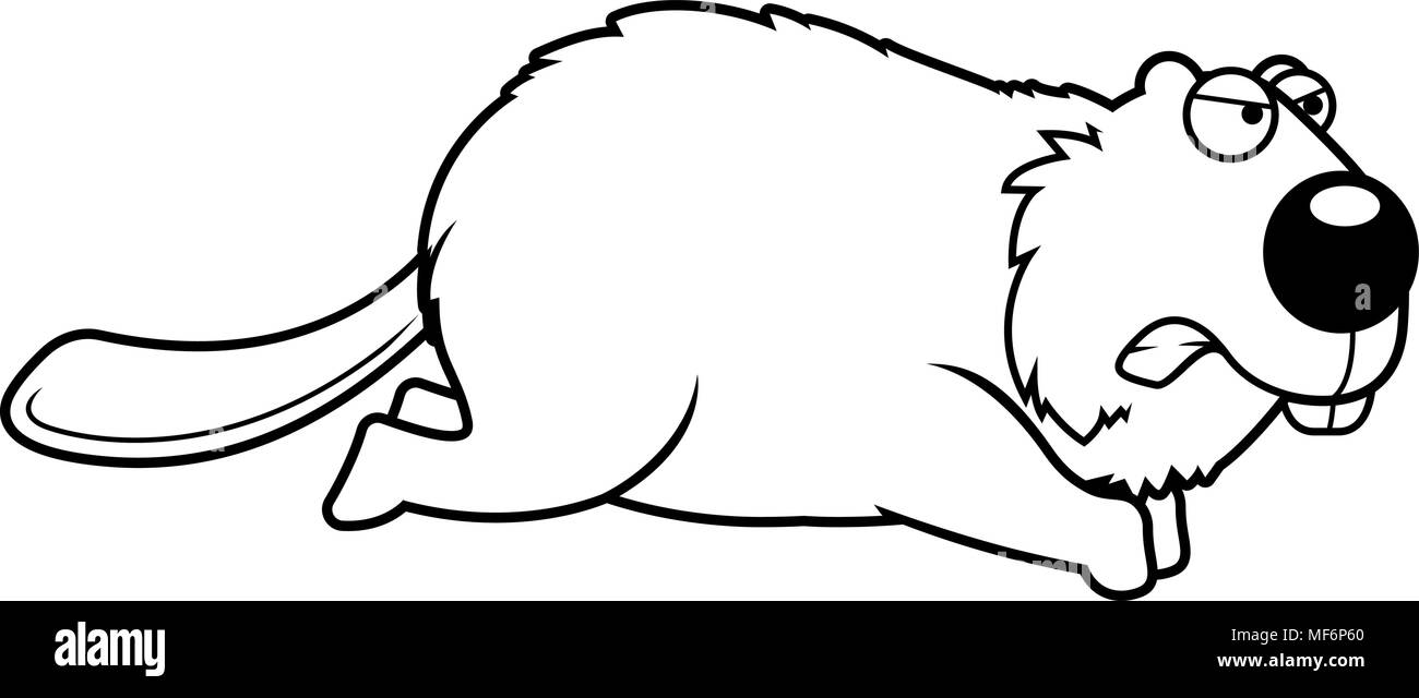 A cartoon illustration of a beaver angry and running Stock Vector Image ...