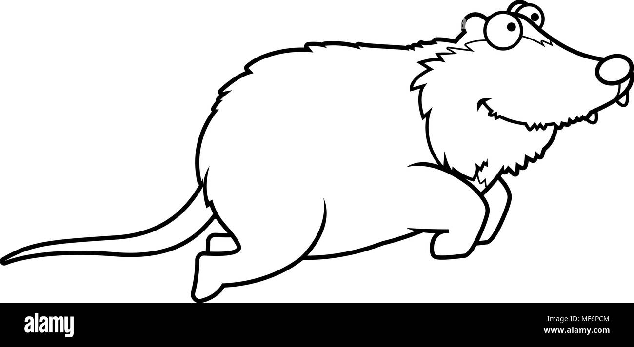 Opossum Cut Out Stock Images & Pictures - Alamy