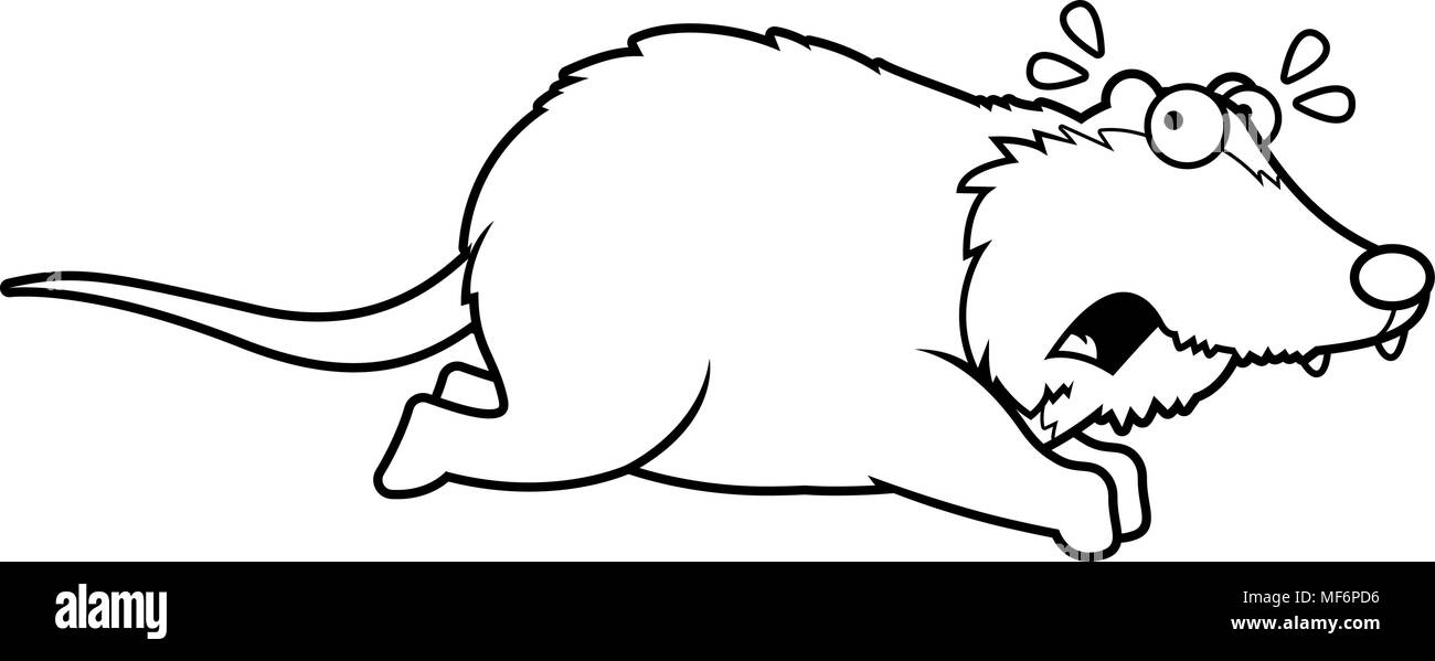 A cartoon illustration of a opossum running away Stock Vector Image ...
