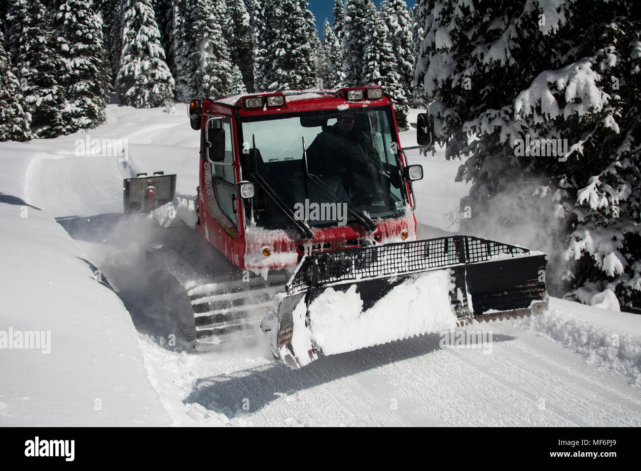 snowcat in a snowy wood Stock Photo - Alamy