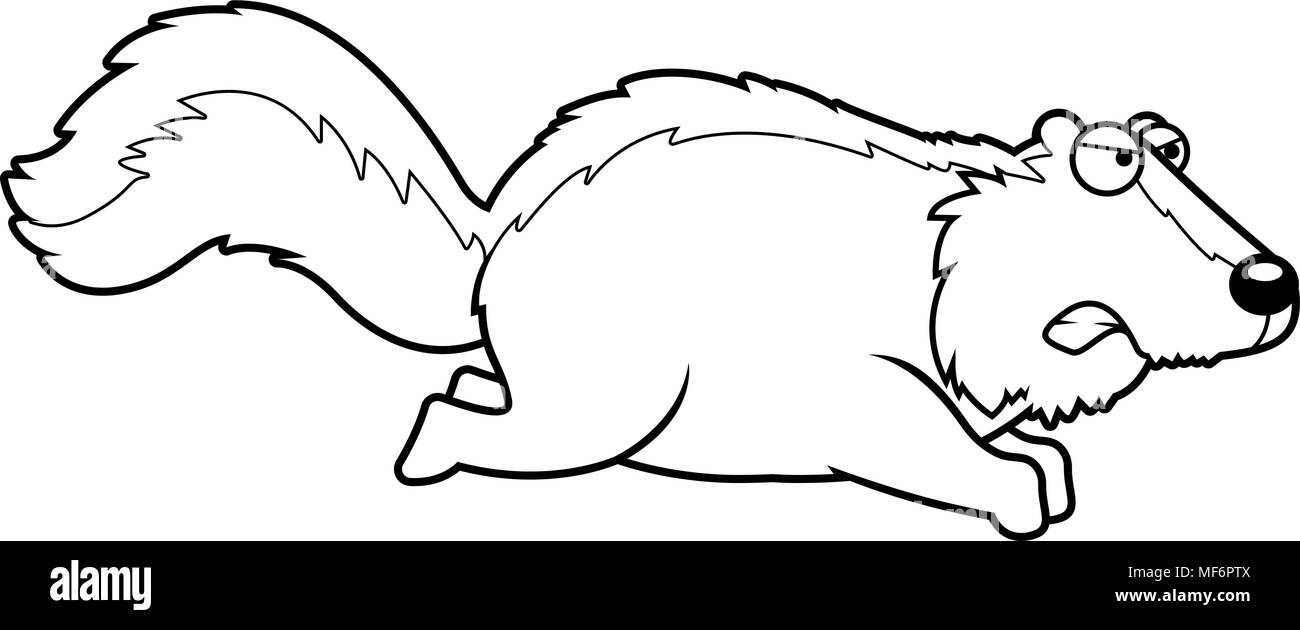 A cartoon illustration of a skunk angry and running Stock Vector Image ...