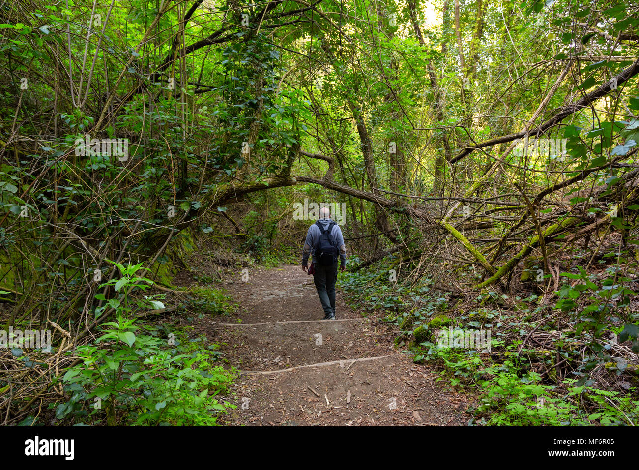Naples (Italy) - The Cratere degli Astroni Nature Reserve is one of the ...