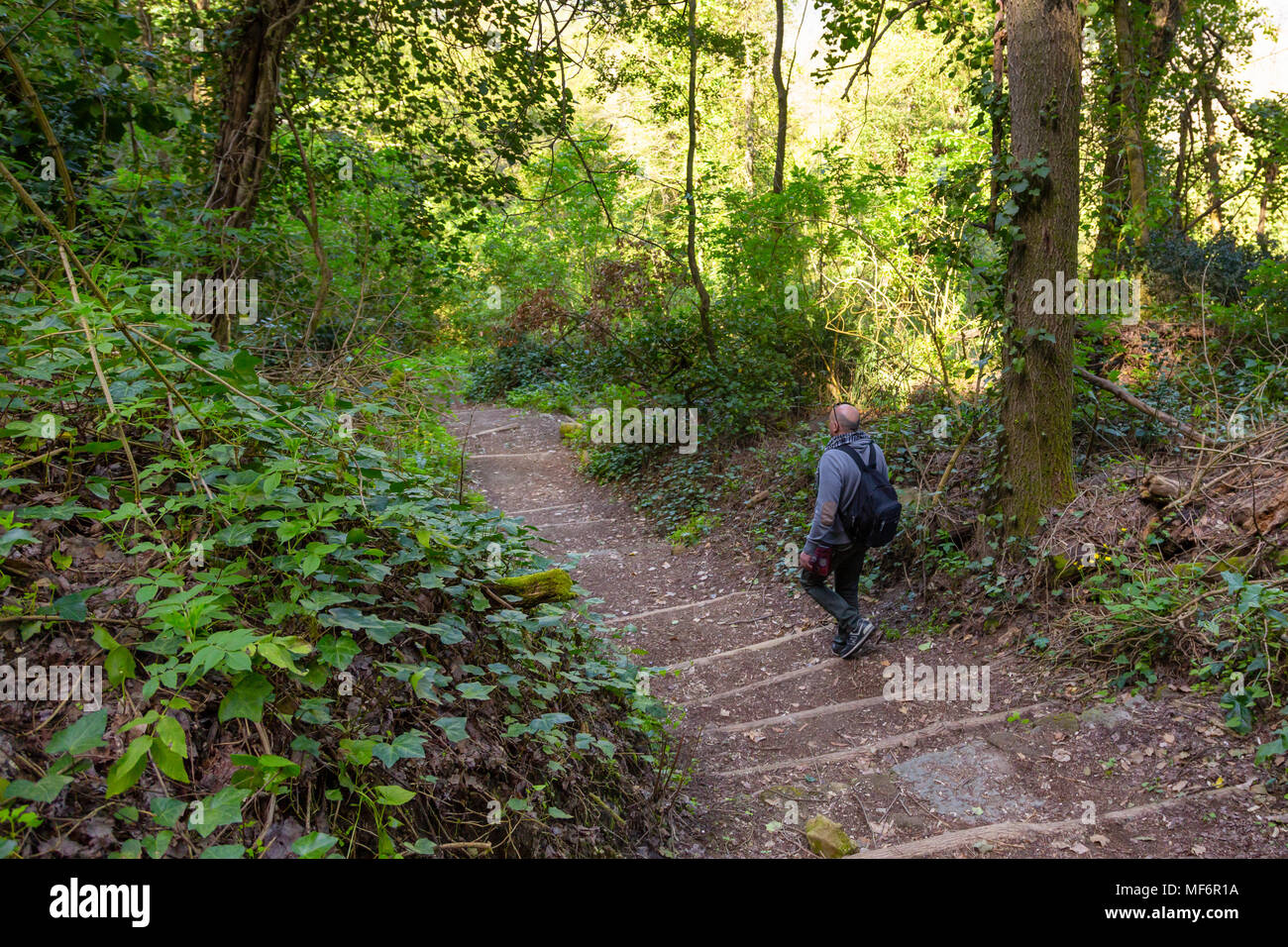Naples (Italy) - The Cratere degli Astroni Nature Reserve is one of the ...