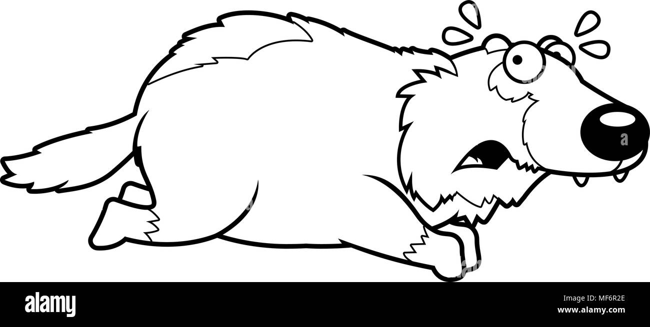 A cartoon illustration of a wolverine running away Stock Vector Image ...