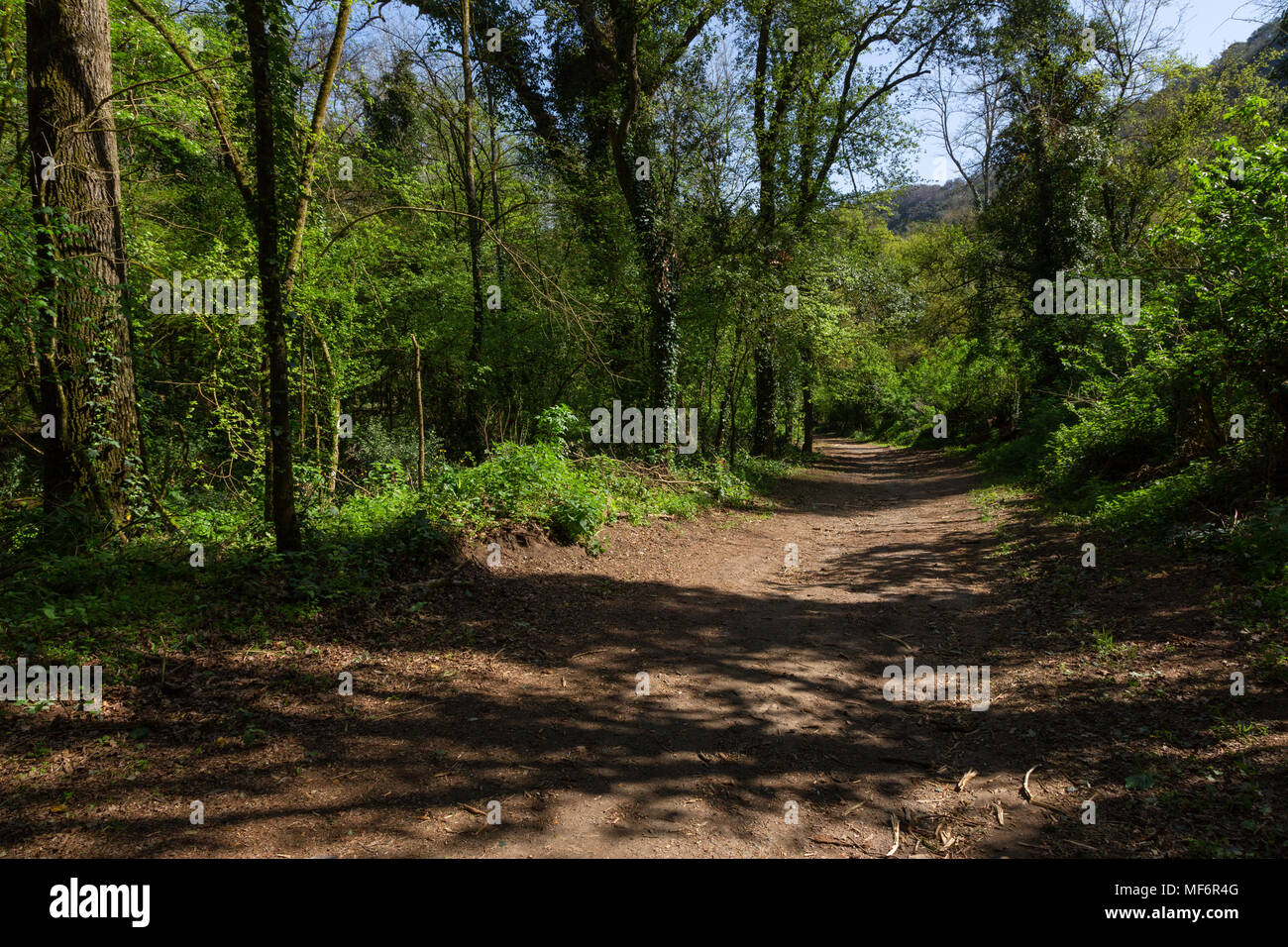Naples (Italy) - The Cratere degli Astroni Nature Reserve is one of the ...