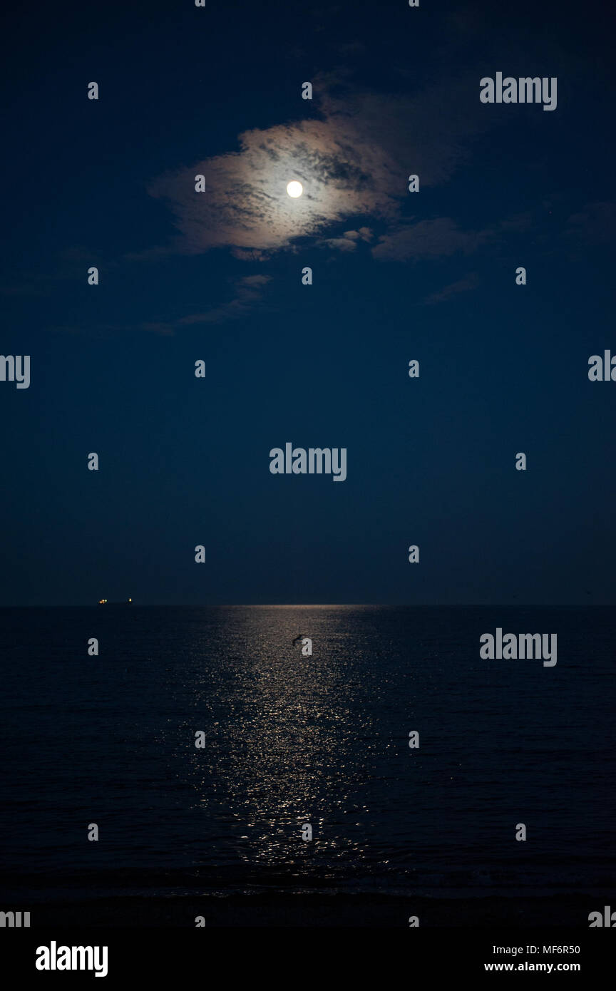 Full moon over ocean night hi-res stock photography and images - Alamy