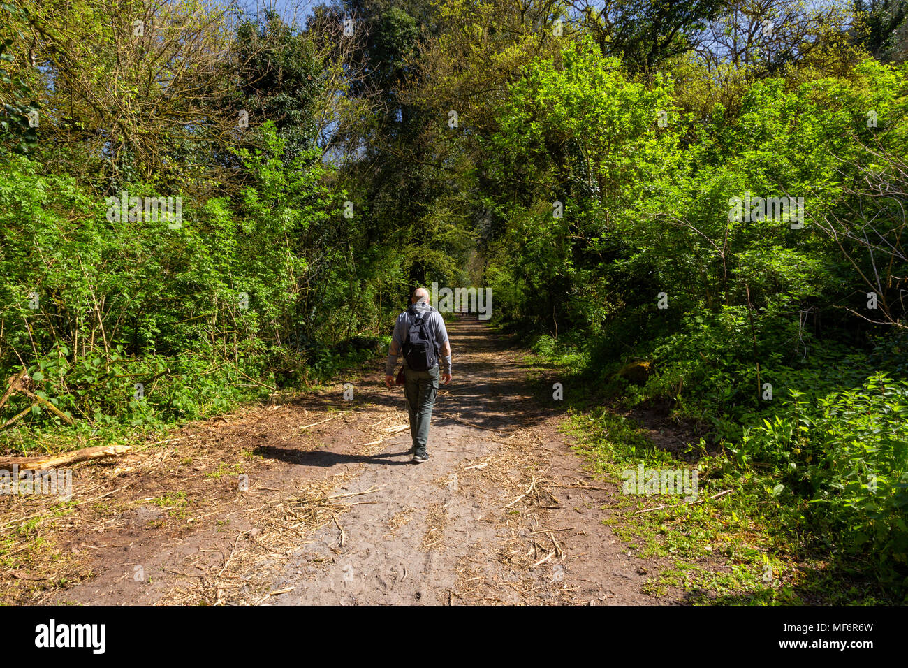 Naples (Italy) - The Cratere degli Astroni Nature Reserve is one of the ...