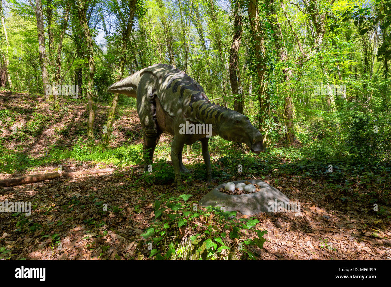 Naples (Italy) - The Cratere degli Astroni Nature Reserve is one of the ...